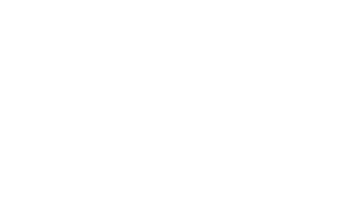 Matt White Ceramic Bowl with cover – Cascades UAE